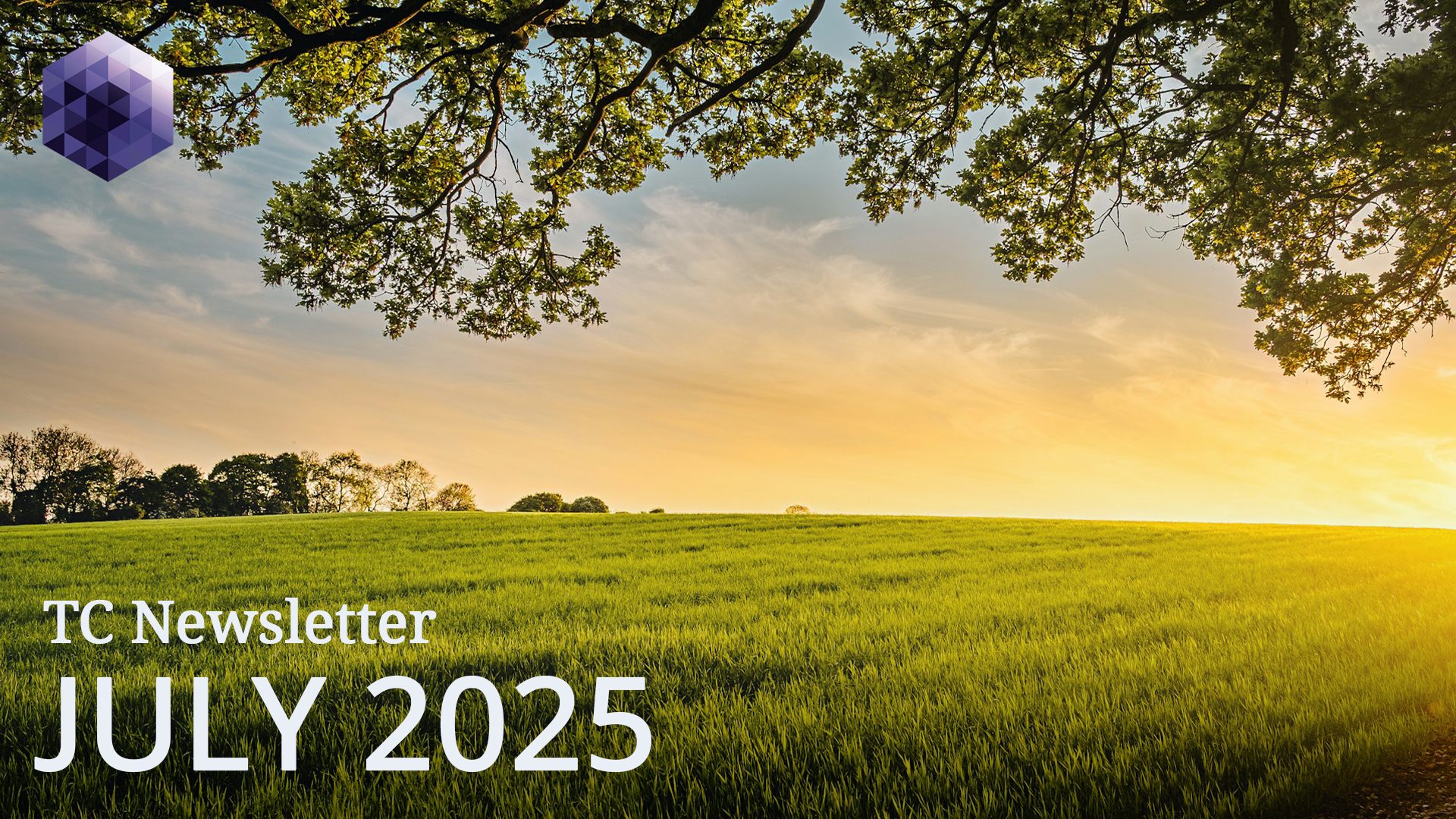 Newsletters | Transformations Community